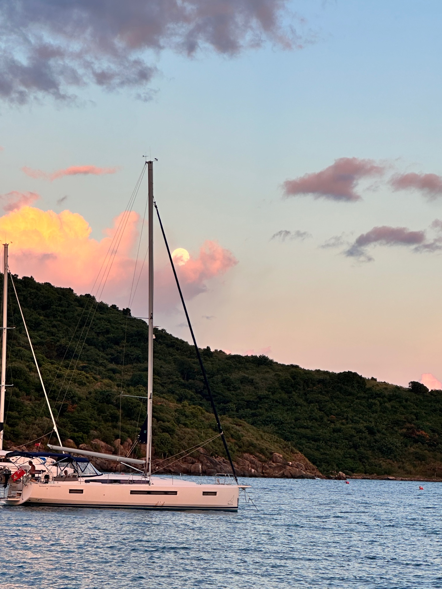 Foxy's Taboo | Beach Bar | British Virgin Islands